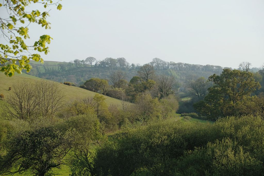 The thrillingly bleak Devon house that inspired The Hound of the ...