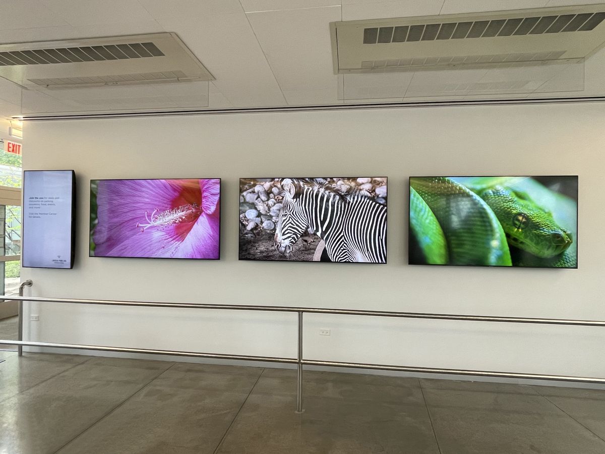 How Peerless-AV's Digital Signage Solutions Modernized Lincoln Park Zoo ...