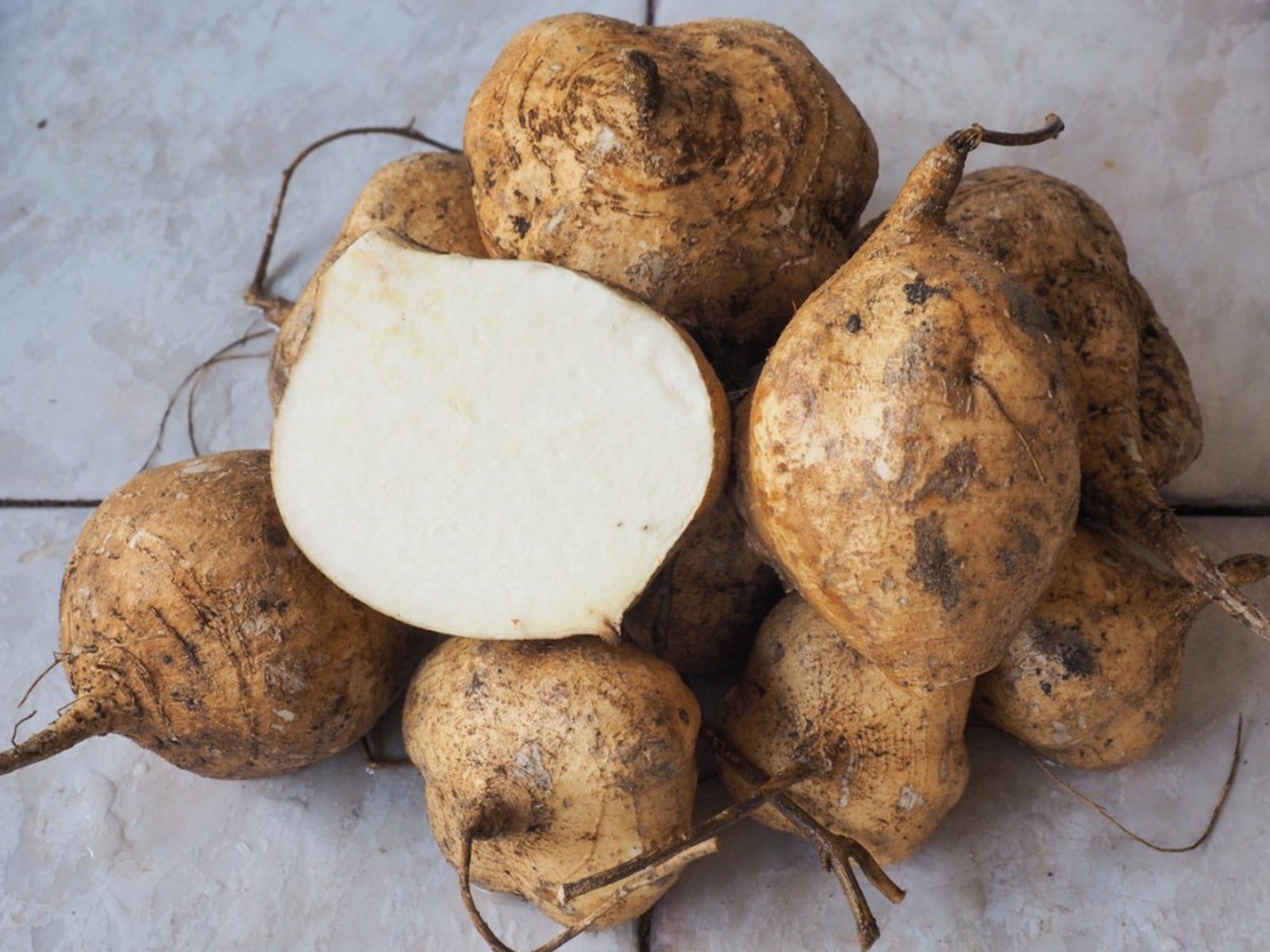 Jicama Growing Info - Learn About Jicama Plants | Gardening Know How