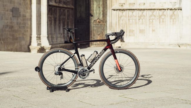 Best road bikes: A bike for every budget | Cyclingnews