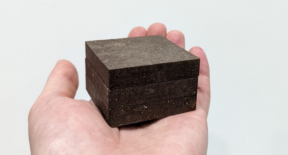 Potatoes are better than human blood for making space concrete bricks ...