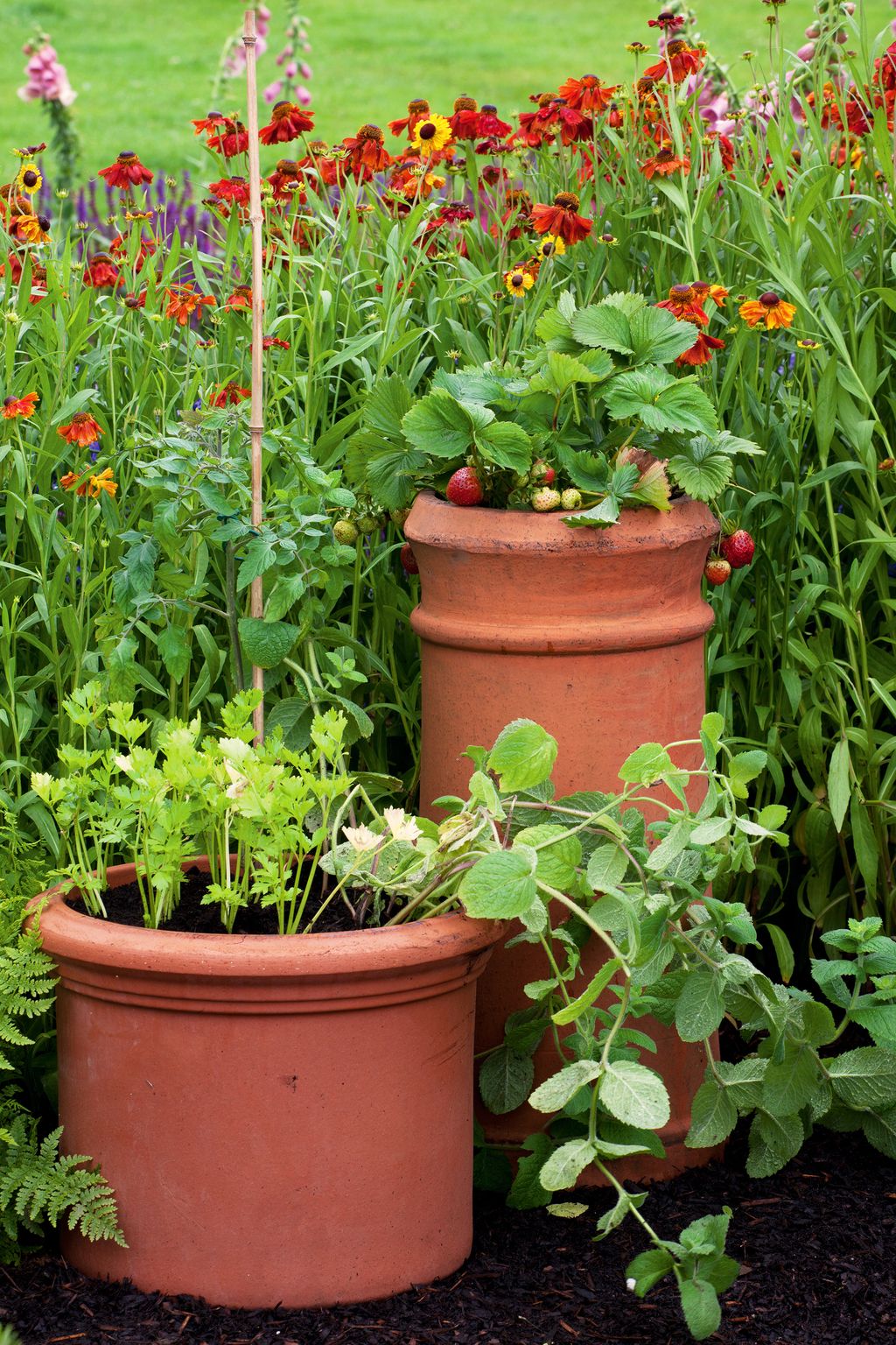 Vegetable garden container ideas: 17 ways to grow in planters | Homes ...