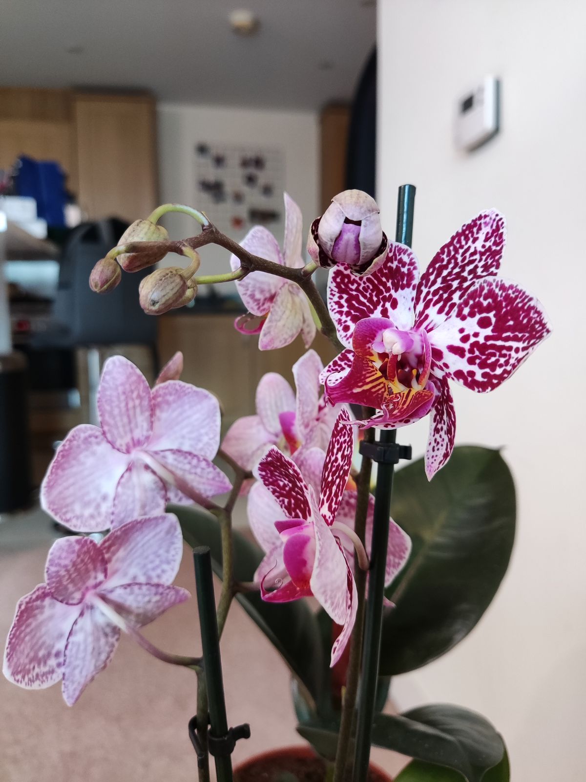 Xiaomi Poco F3 5G review | Digital Camera World