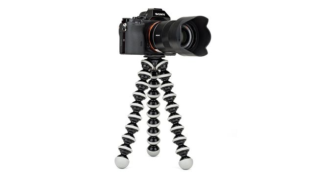 How to prepare for a safari or wildlife photography trip | Digital ...
