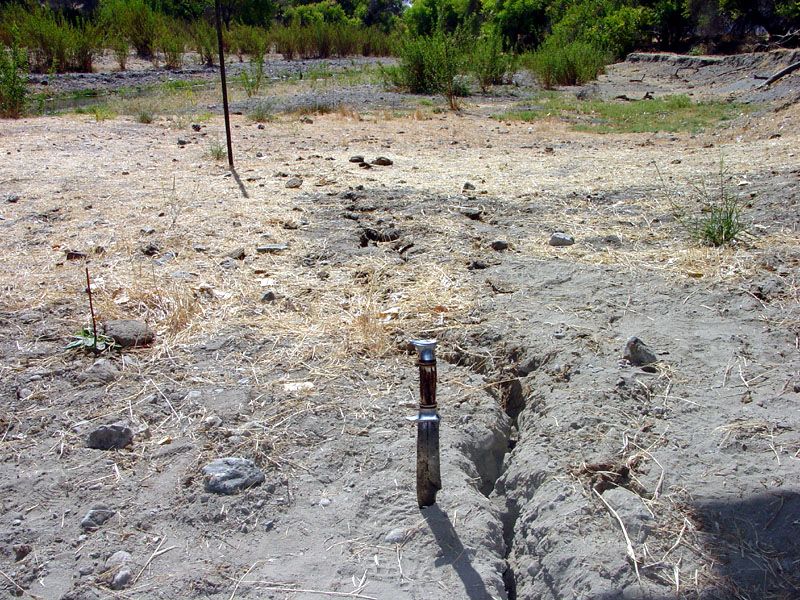 How Earth's 'Hums' Could Help Predict Earthquakes | Live Science