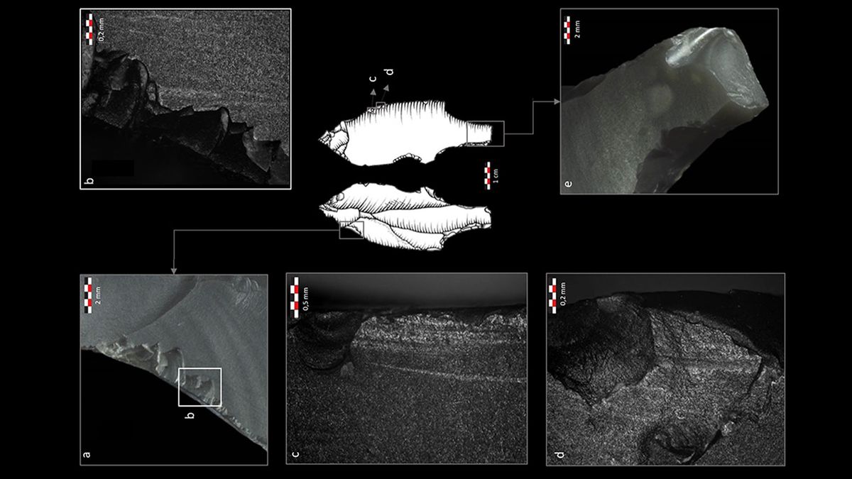 Stone Age Europeans mastered spear-throwers 10,000 years earlier than ...