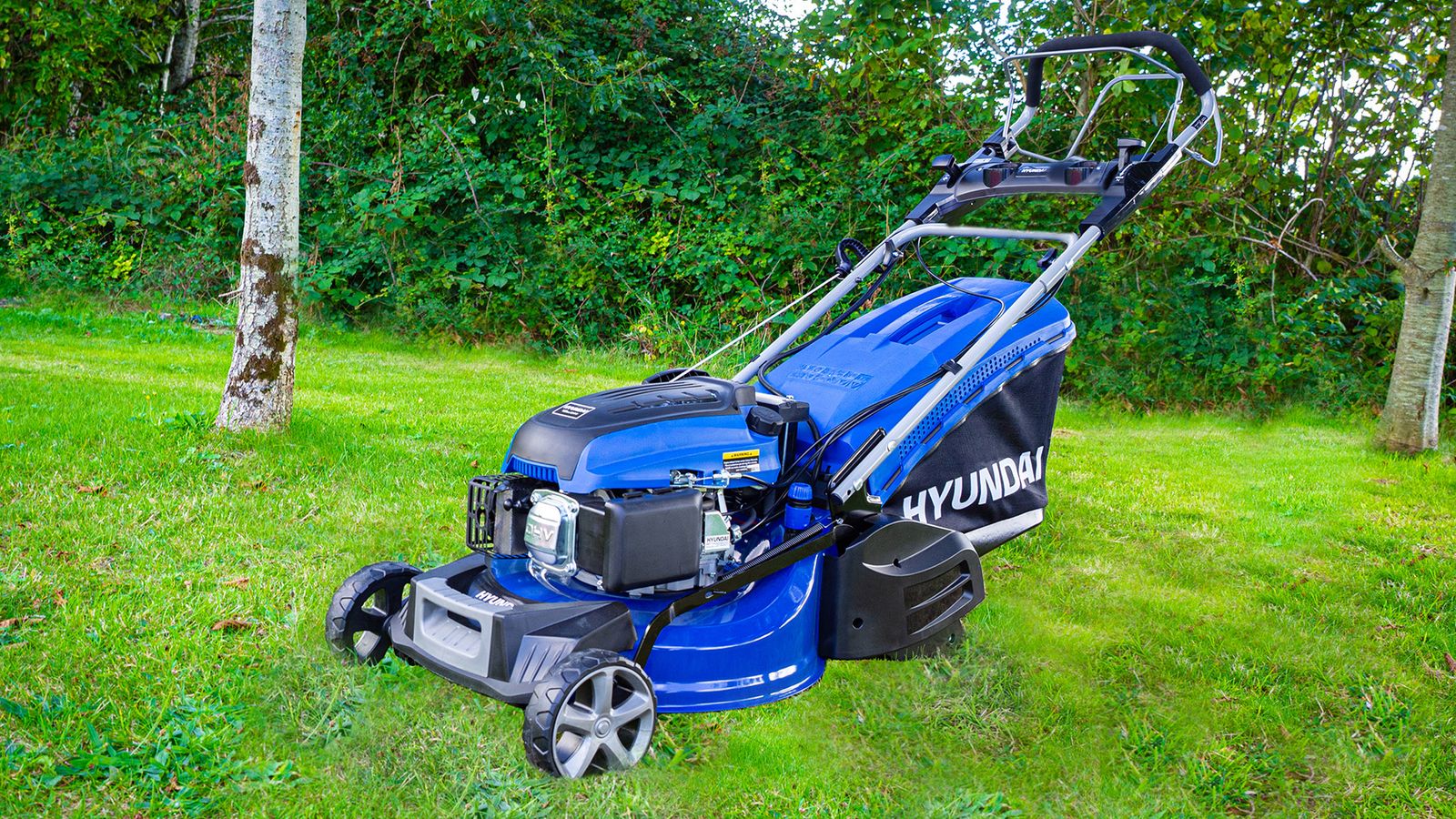 Best petrol lawn mower 2024: robust fuel-powered lawn cutters for ...
