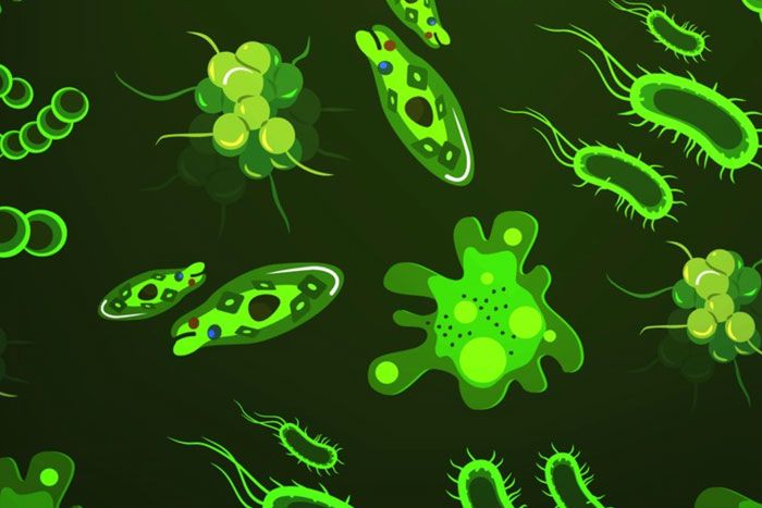 Imagining Strange New Lifeforms Could Help Us Discover Our Own Origins ...