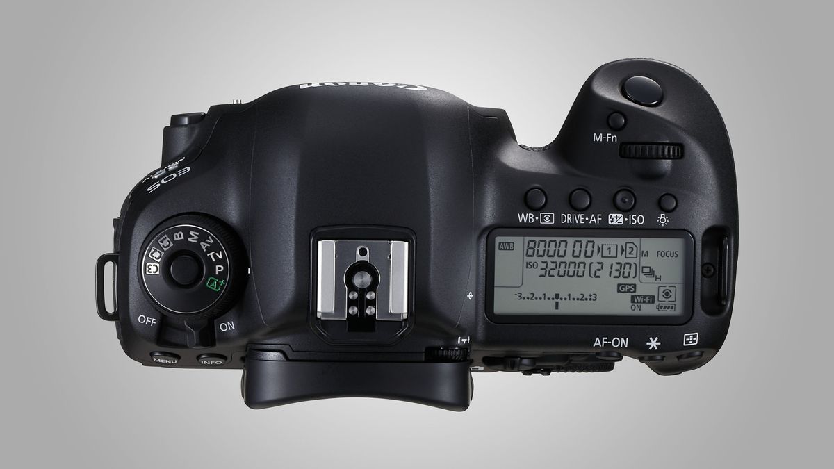 Build, handling and AF - Canon EOS 5D Mark IV review - Page 2 | TechRadar