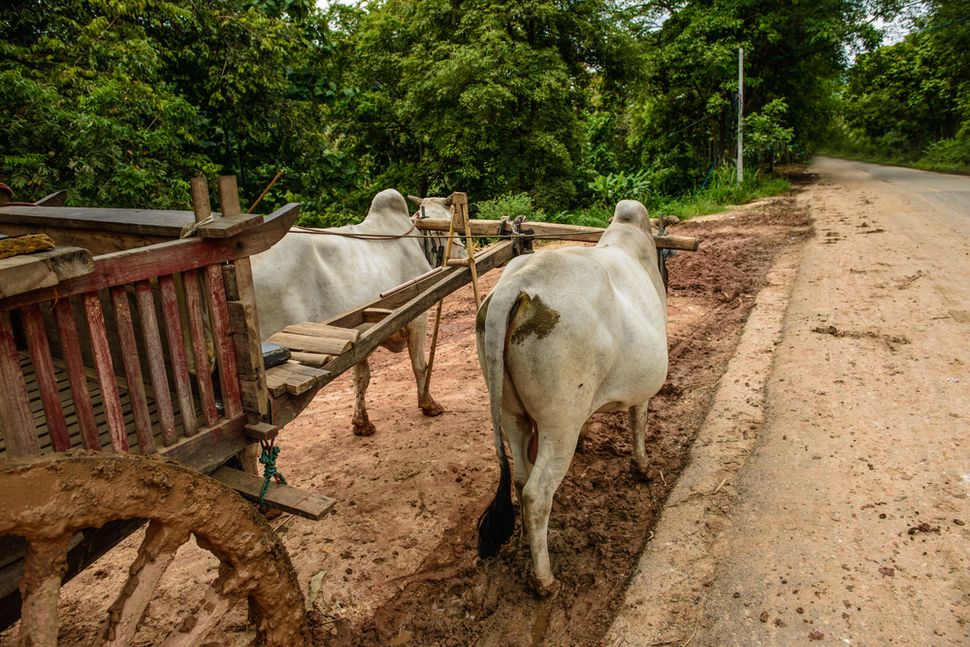 6 Simple Machines: Making Work Easier | Live Science