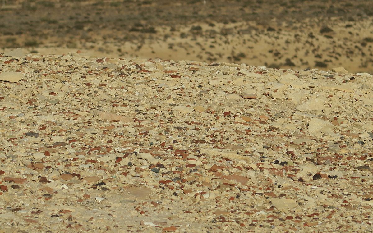 Ancient Garbage Heaps Show Fading Byzantine Empire Was 'Plagued' By ...