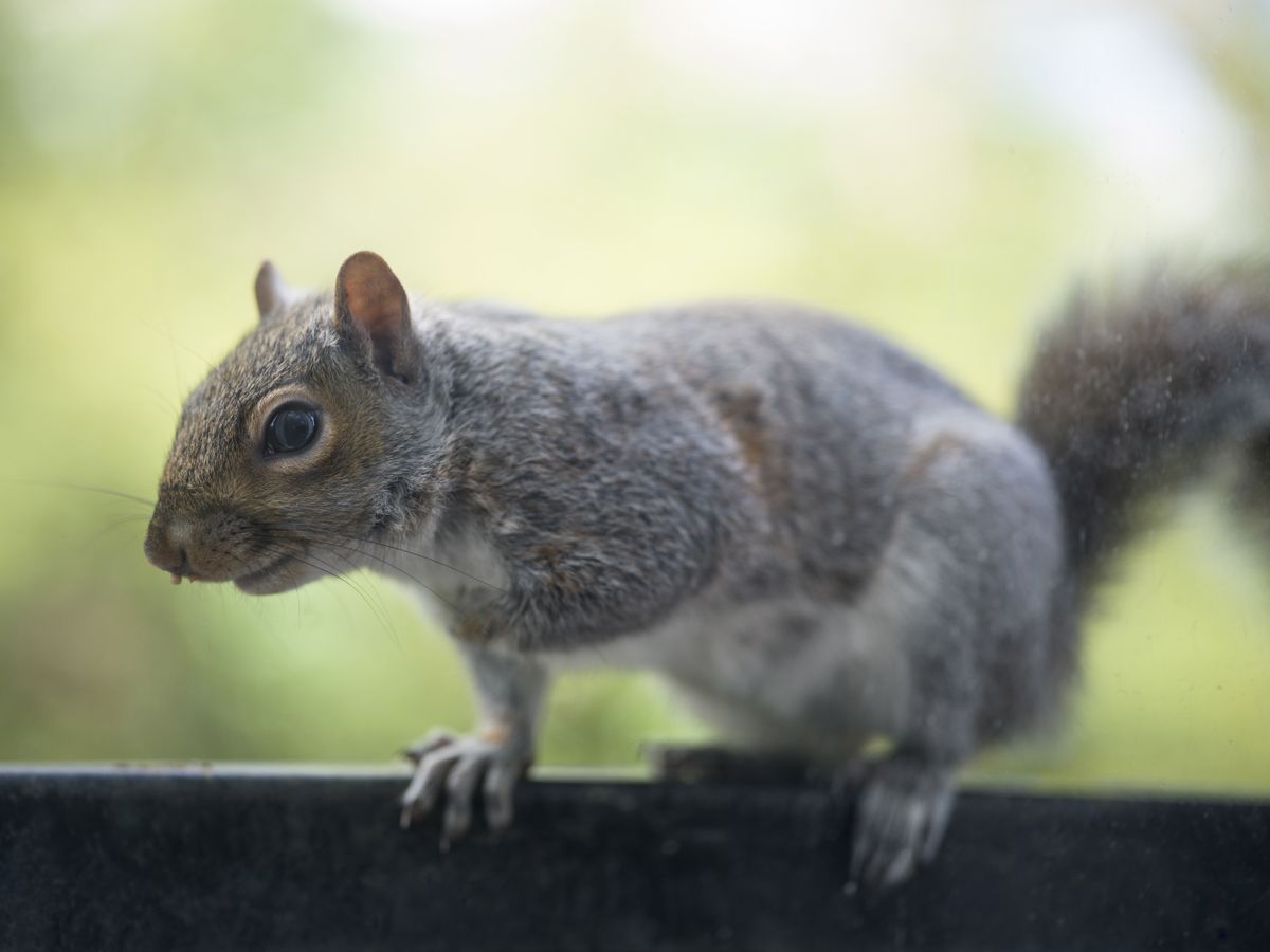 The sharpest lens we've ever lab tested! | Digital Camera World