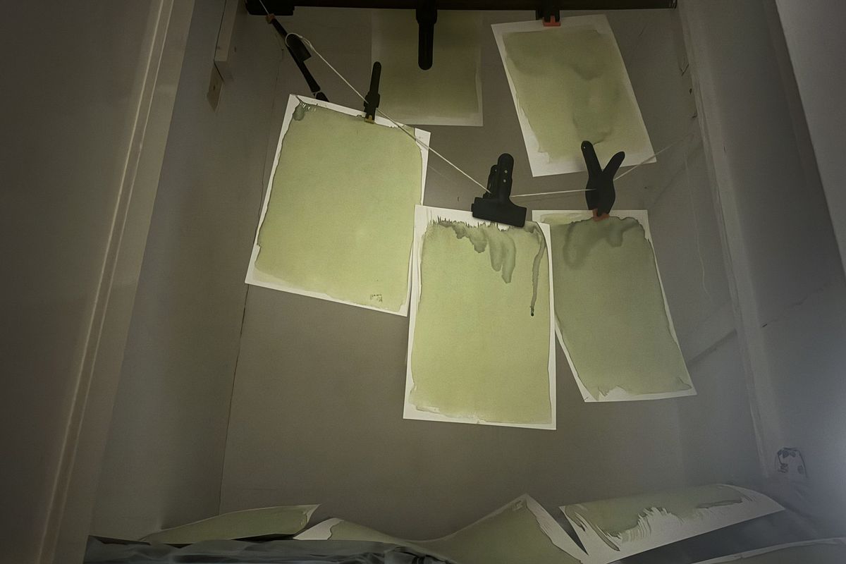 Craft your own cyanotypes at home with this quick and easy setup ...