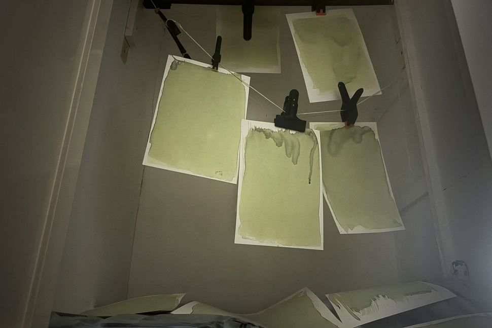 Craft your own cyanotypes at home with this quick and easy setup ...