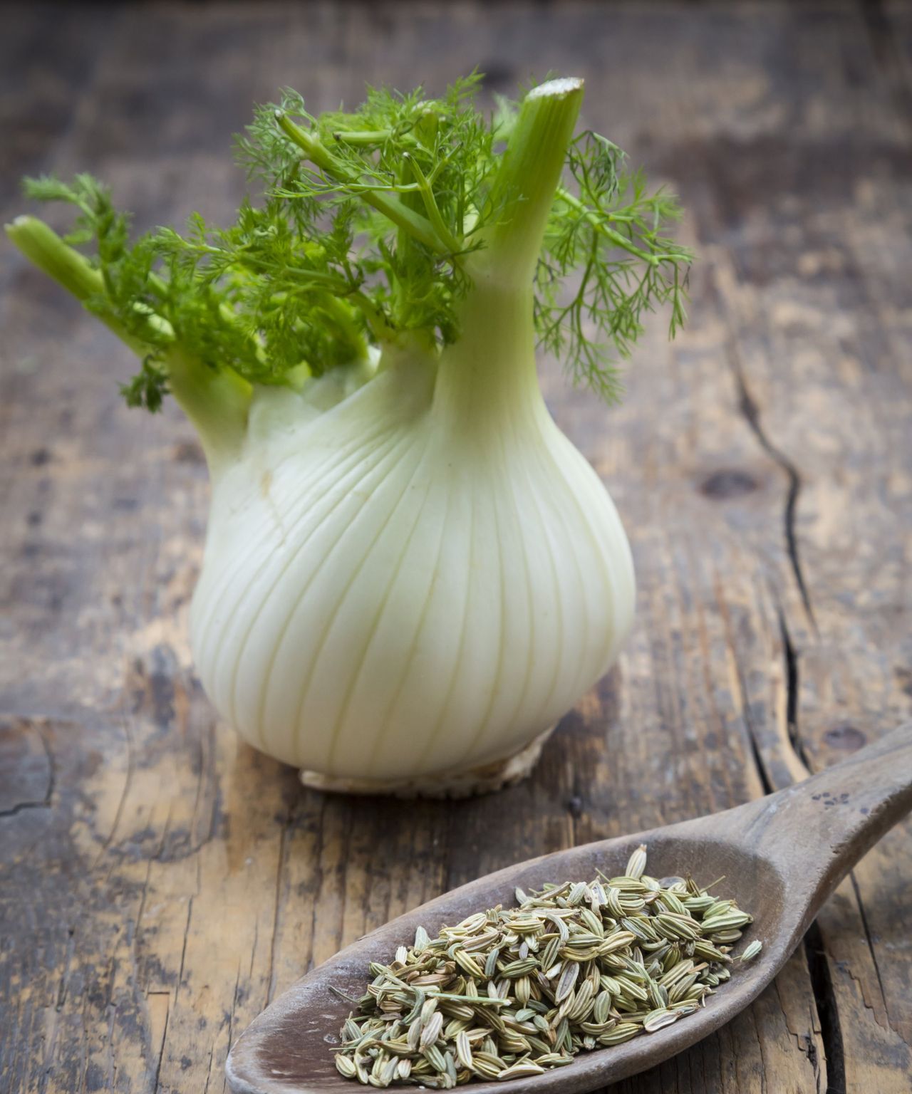 How to grow fennel from cuttings: 6 simple steps to follow | Homes and ...