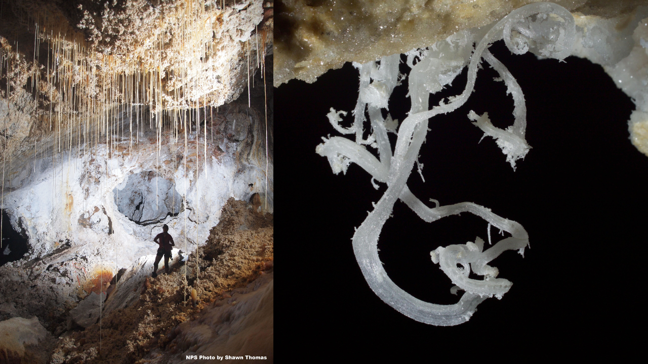 Carlsbad Caverns: New Mexico's otherworldly caves with gypsum flowers ...
