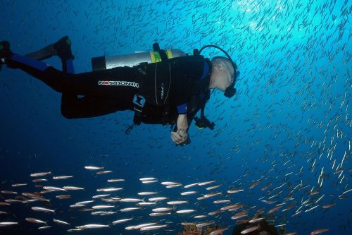 Under the sea: 50 breathtaking images from our oceans | Live Science