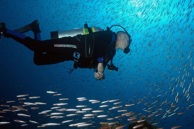Under the sea: 50 breathtaking images from our oceans | Live Science