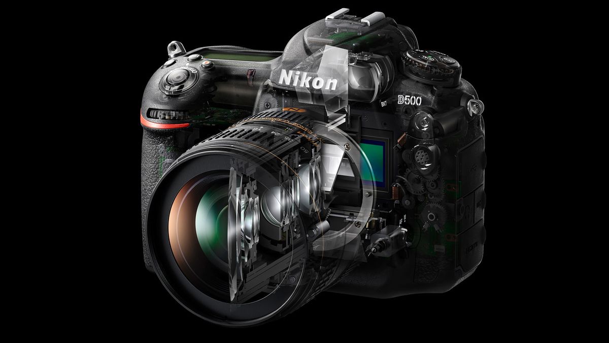 DSLR vs mirrorless cameras - the the two main interchangeable lens ...