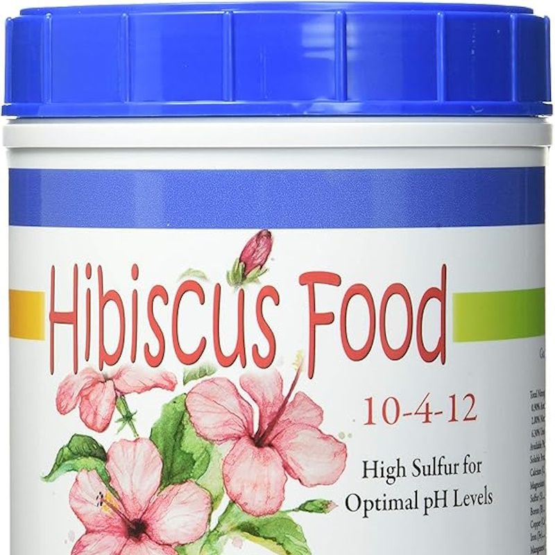 How to fertilize hibiscus: Expert tips for more blooms | Homes and Gardens