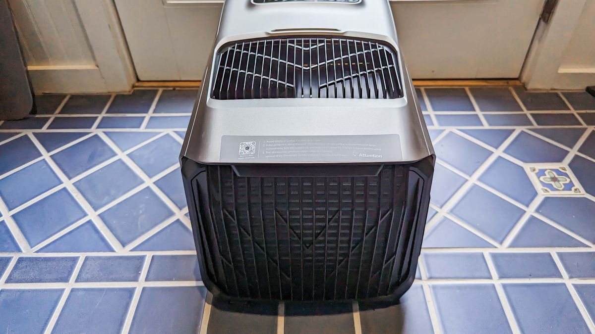 EcoFlow Wave 2 smart heat pump review: A device for all seasons | Tom's Guide