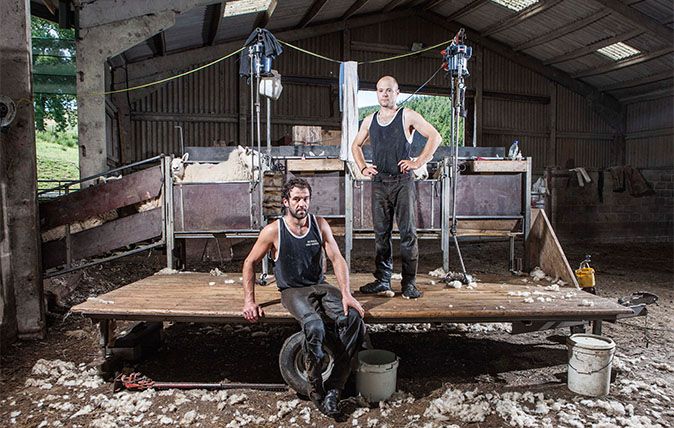 The sheep-shearer: 'If you tell people what you do, they often don’t ...