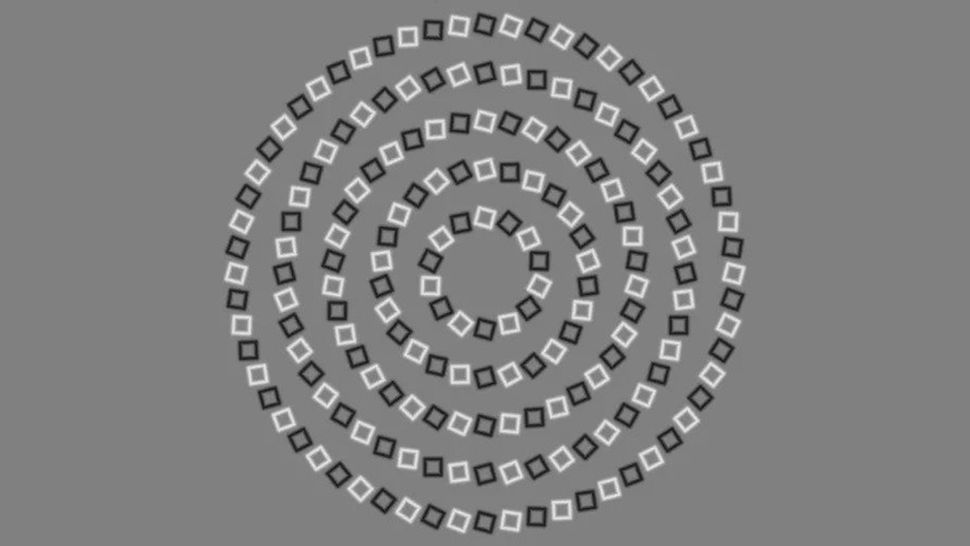 This head-spinning optical illusion has just broken my brain | Creative ...