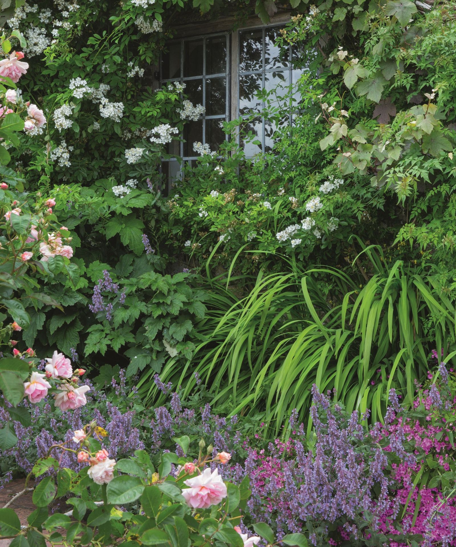 How to plant a garden for pollinators: in 10 insect-friendly steps ...