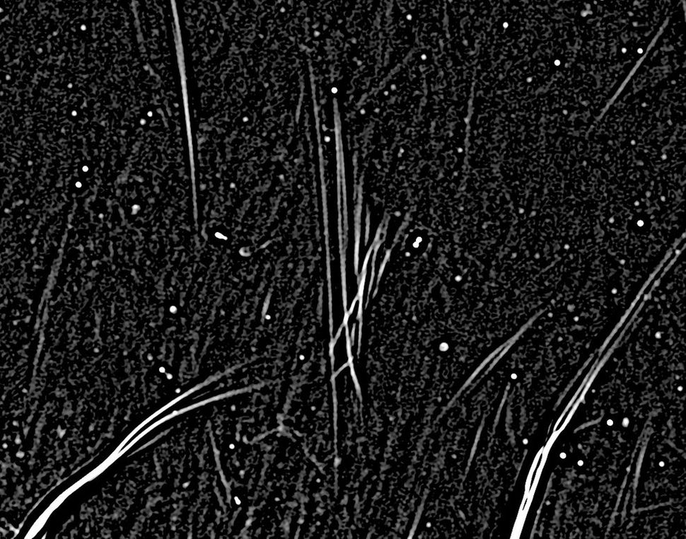 Astronomers discover 1,000 strange 'filaments' of radio energy bursting ...