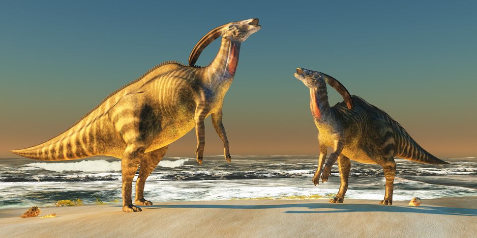 These Duck-Billed Dinosaurs Wore Their Instruments on Their Heads ...