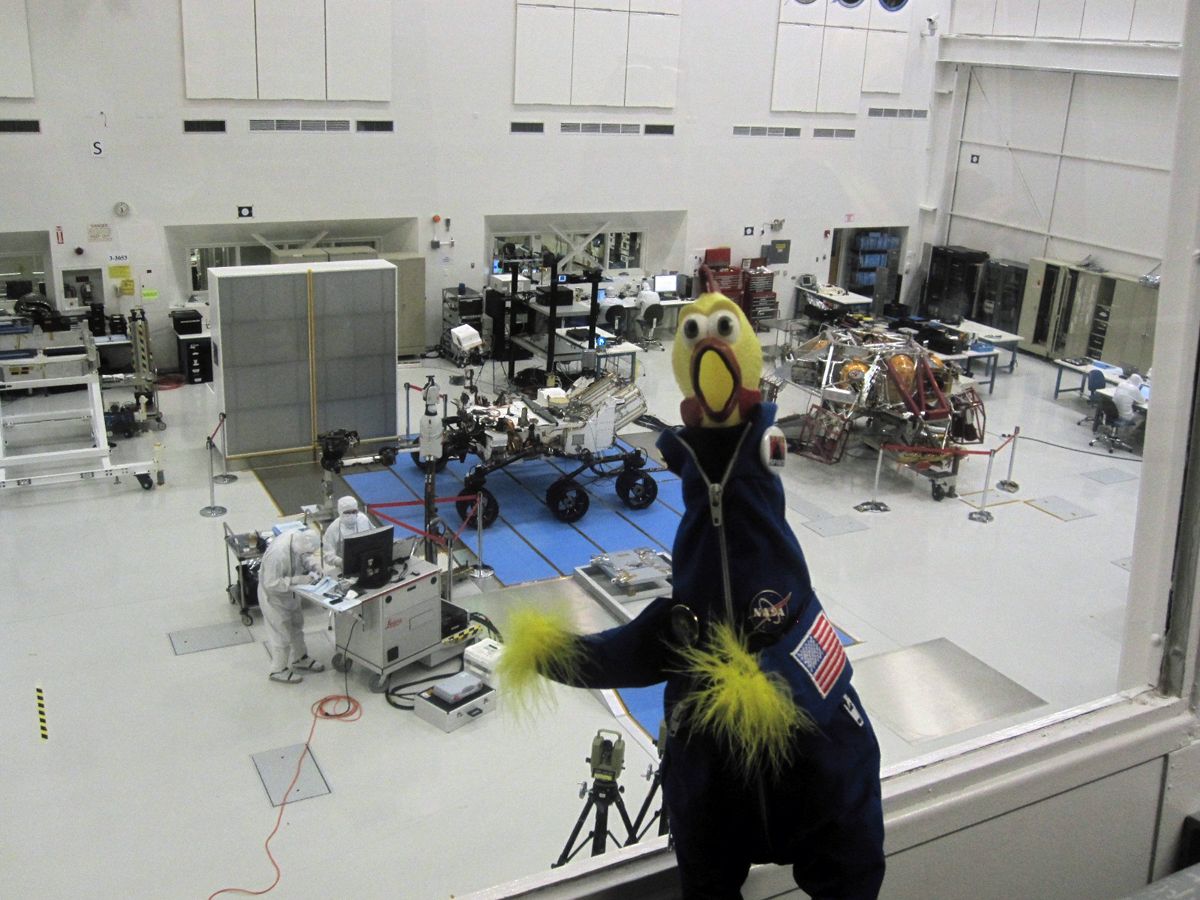 Rubber Chicken Camilla Flies to Edge of Space (Photos) | Space