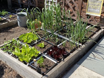 What is square foot gardening? Experts explain all | Livingetc