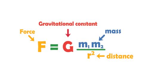 What is a law in science? | Live Science