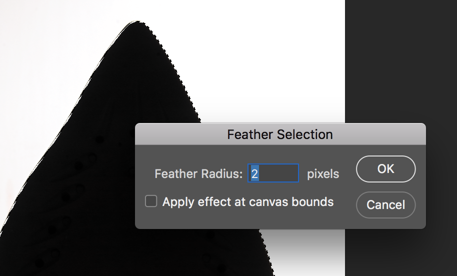 How to make fun silhouette art from photos of everyday household ...