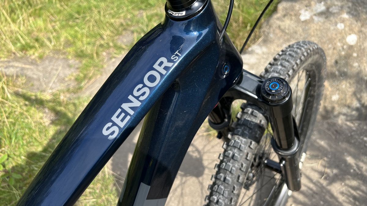 GT Sensor Carbon ST Pro review | Bike Perfect