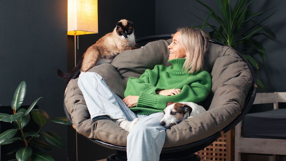 20 genius pet care hacks every owner should know | PetsRadar