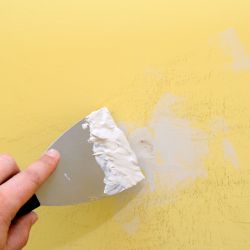 14 paint problems – how to solve paint peeling, cracking and blistering ...