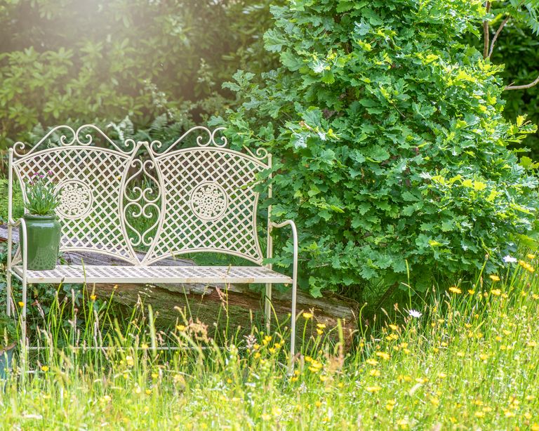 The worst gardening trend 2021, according to expert | Gardeningetc