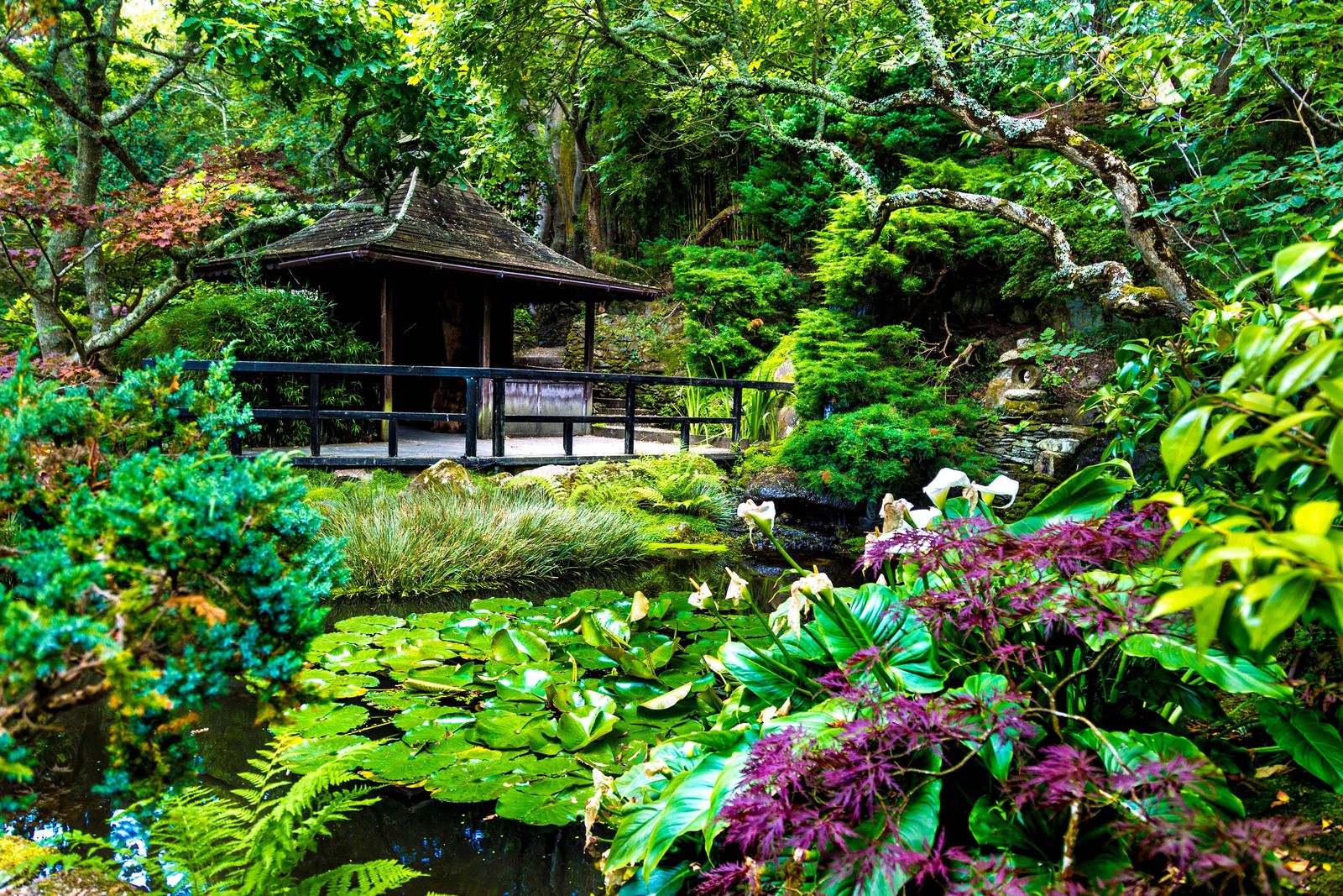 Pagoda ideas: 12 stunning structures for Japanese-inspired plots ...
