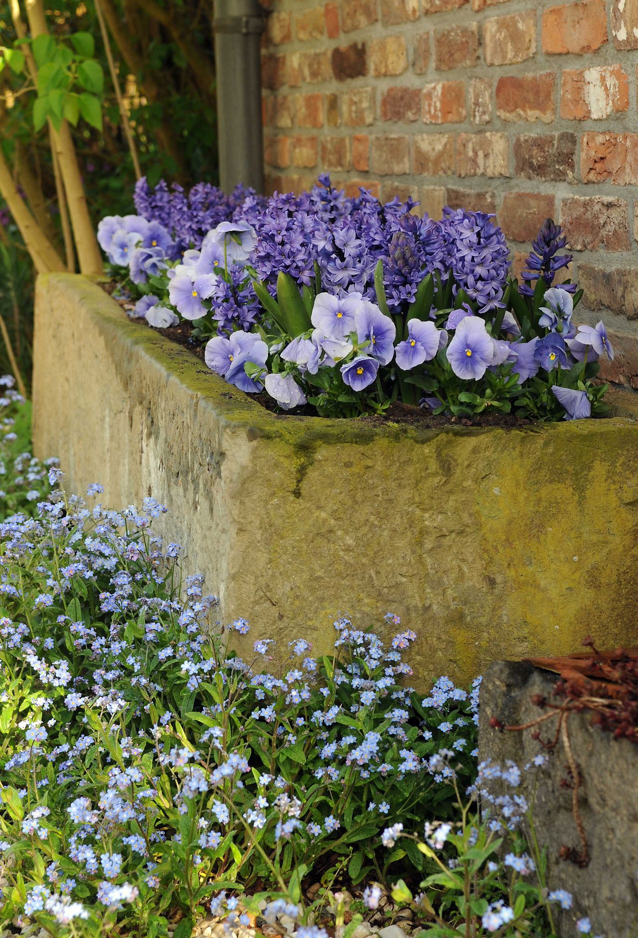 Garden color schemes: 12 stunning ways to combine shades for plants and ...