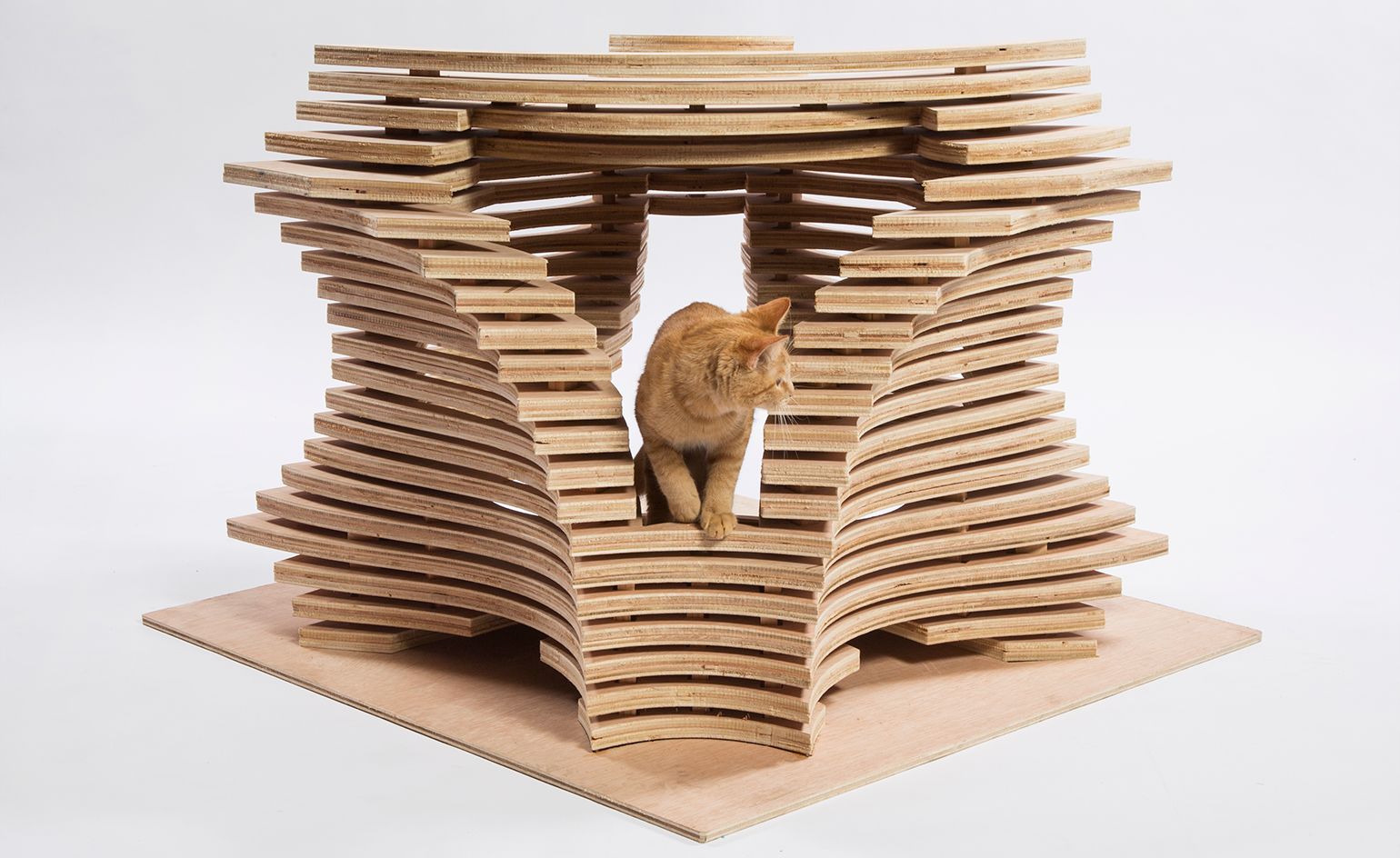 Well-designed homes for homeless cats | Wallpaper