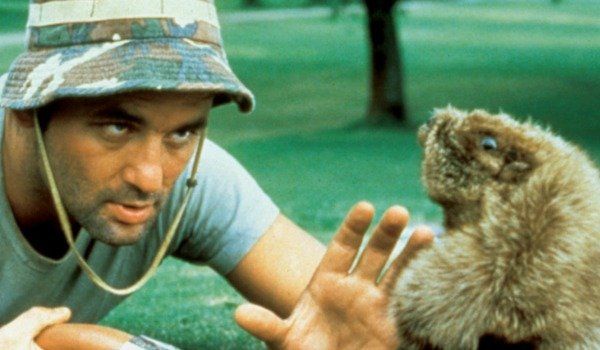 Bill Murray's 10 Funniest Roles, Ranked | Cinemablend