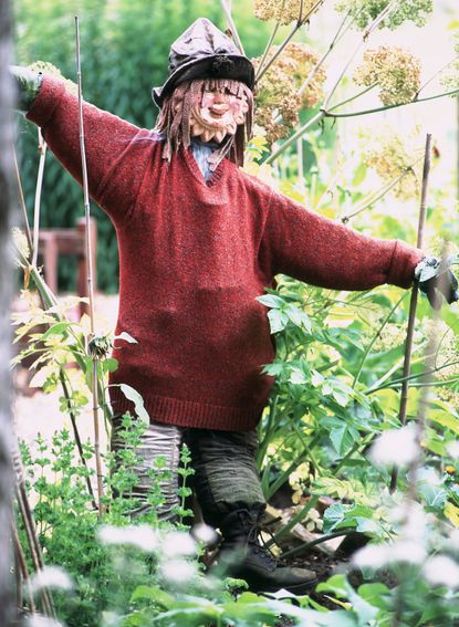 How to make a scarecrow: follow our simple guide for a fun garden ...