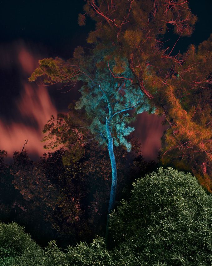 Sony World Awards finalists showcase the best photography on the planet ...