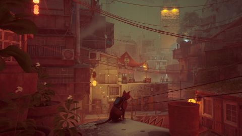 Stray review: "A phenomenal and compact adventure" | GamesRadar+