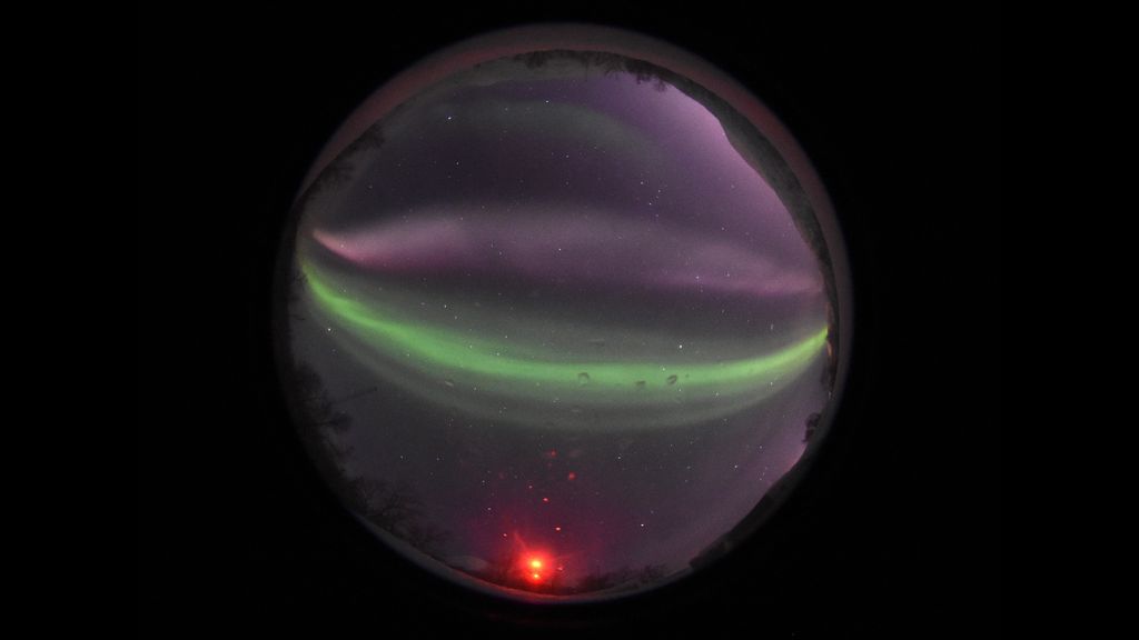 STEVE — the bizarre purple ribbon in the sky — has a 'secret twin' that ...