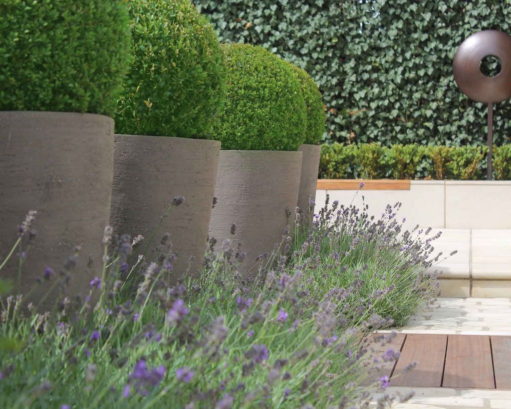 Landscaping with boxwood: 10 ways to include this evergreen | Gardeningetc