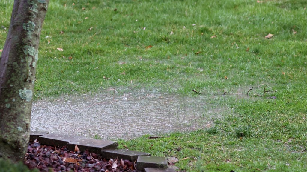 5 ways to protect your lawn from flooding — tips from garden experts ...