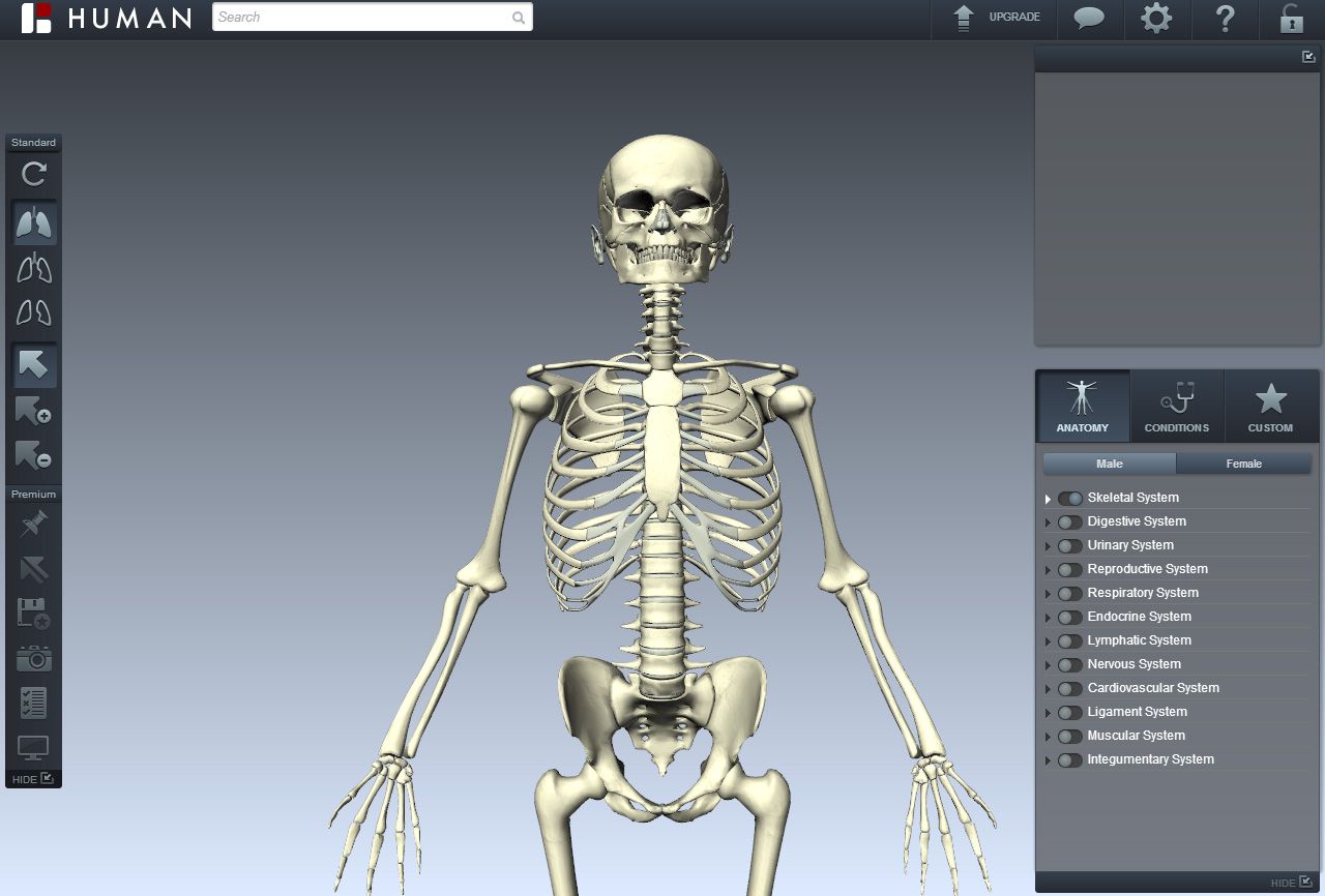 The BioDigital Human: A 3D Virtual Anatomy Atlas | Live Science