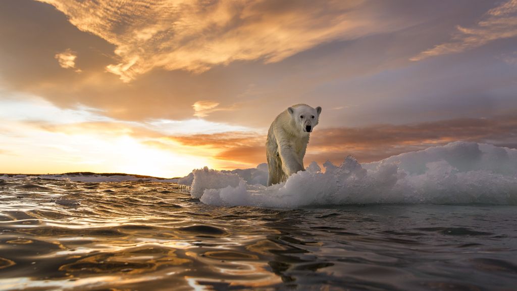 The most important and shocking climate stories of 2024 | Live Science